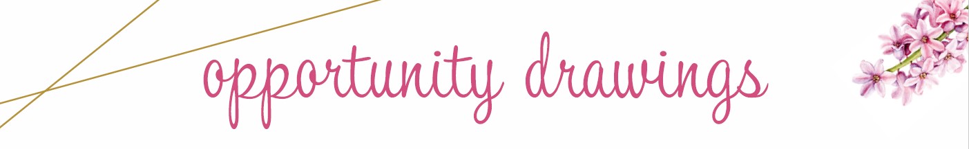 Opportunity Drawing Tickets